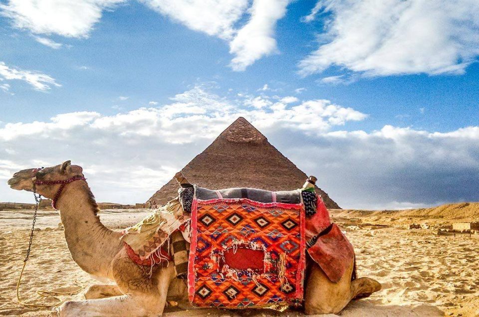 Cairo Day Tour from Port Said Port - Sharm Station